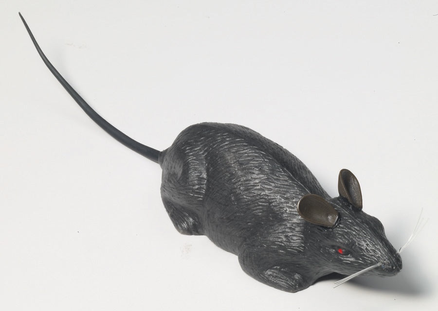 Rat-PC Blow Molded - George & Co.